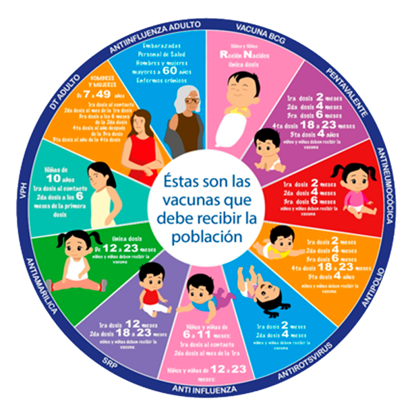 PROGRAMAS GRATUITOS – PROSALUD