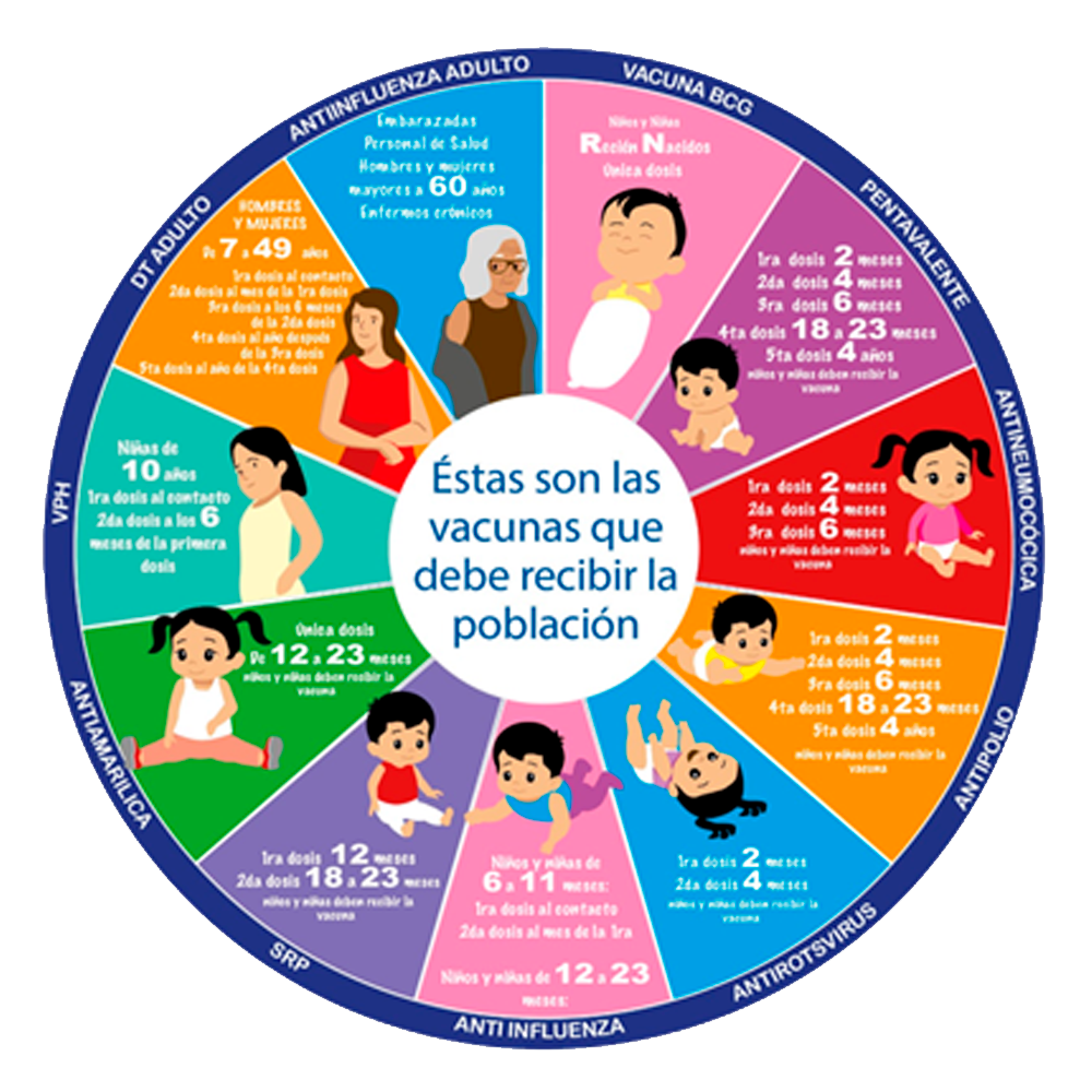 PROGRAMAS GRATUITOS – PROSALUD